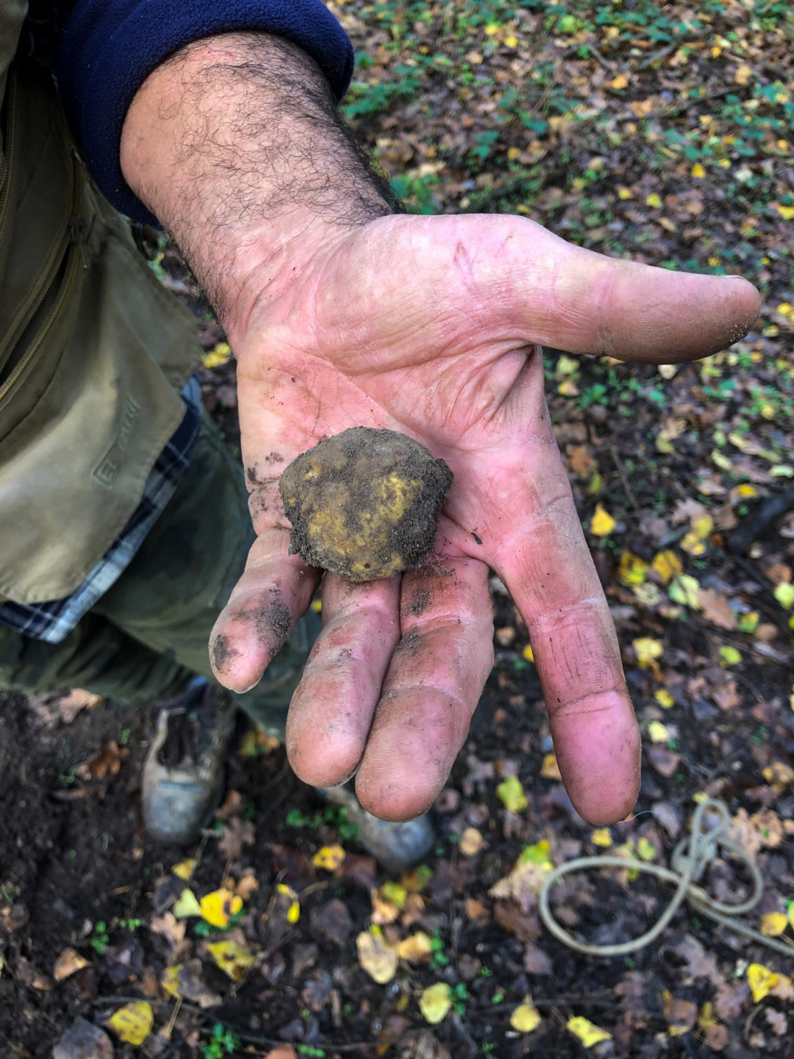 Truffle Hunting in Italy - Map & Family