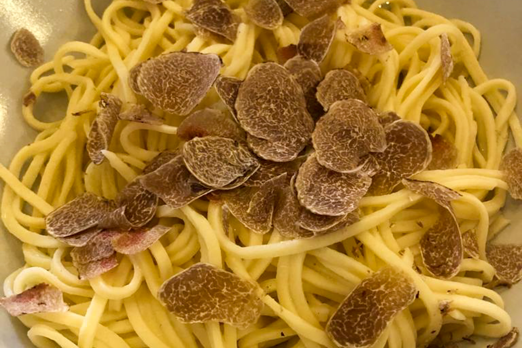 Truffle Hunting in Italy - Map & Family
