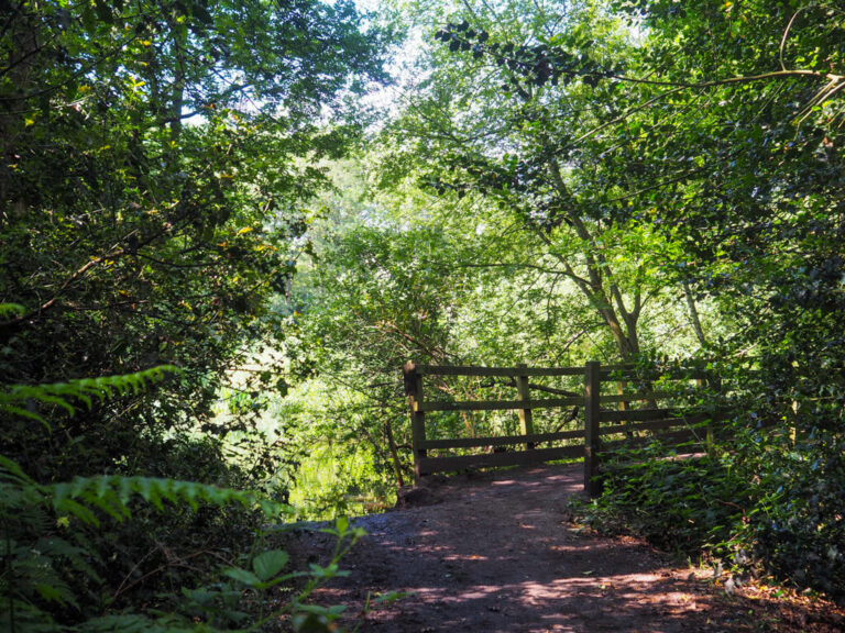 30 Things to do in Wimbledon London by a local 2025 - Map & Family